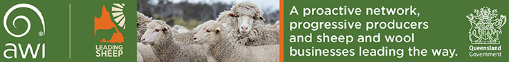 Leading Sheep Newsletter