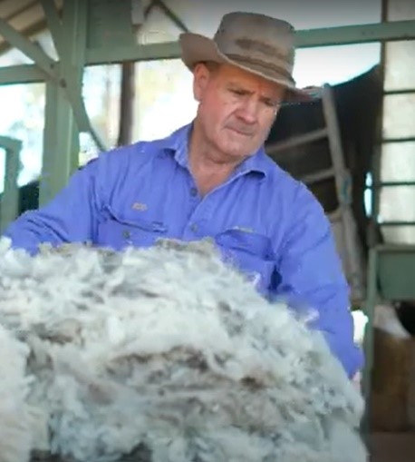 Electronic Identification (eID) in sheep – Leading Sheep