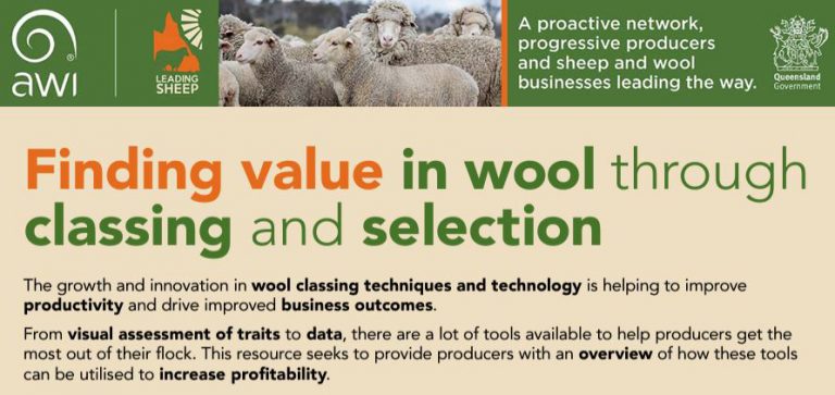 Around the Camp: Sheep research, wool classing factsheet, biological ...
